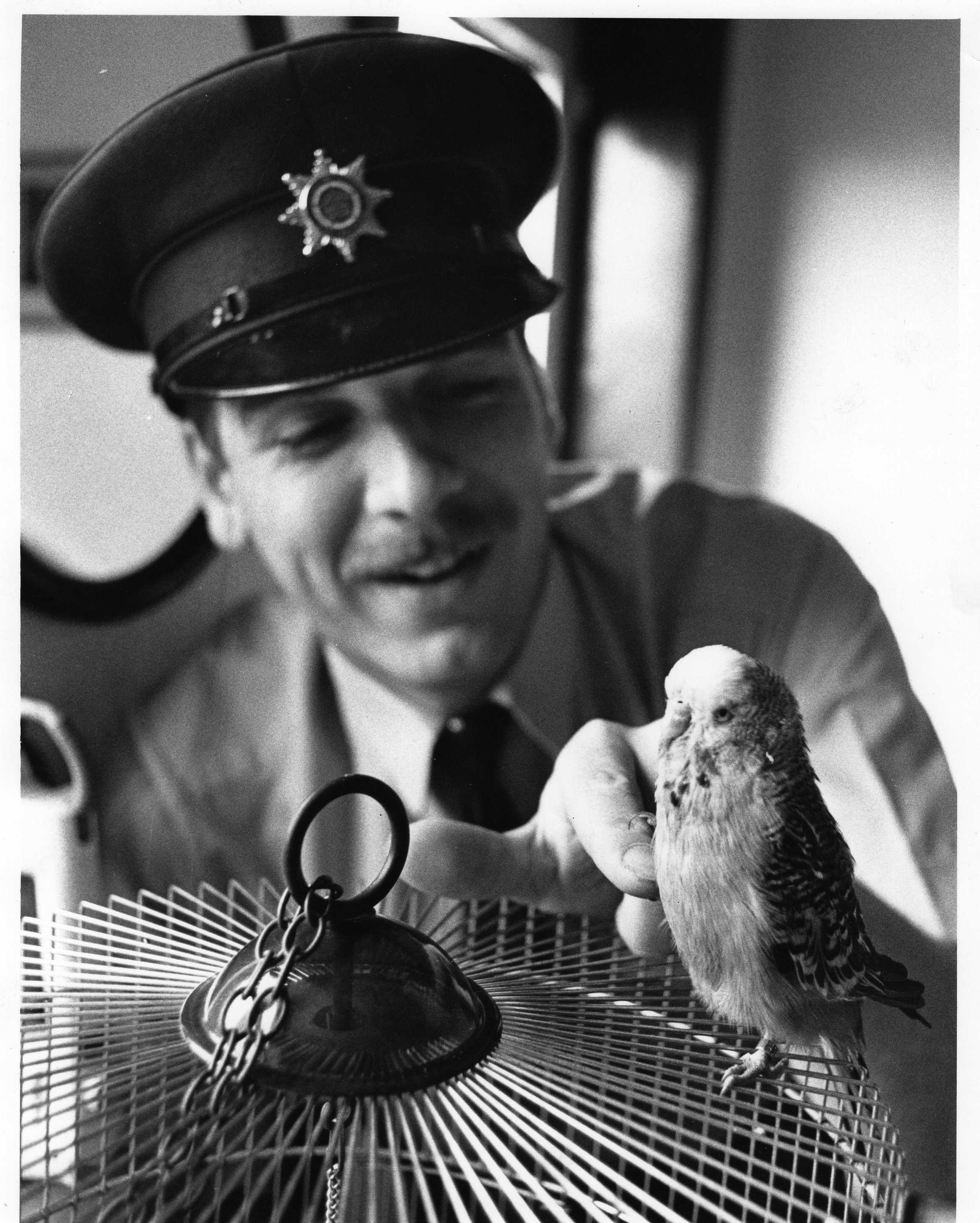 Budgie Rescue | | Blackburn Fire History