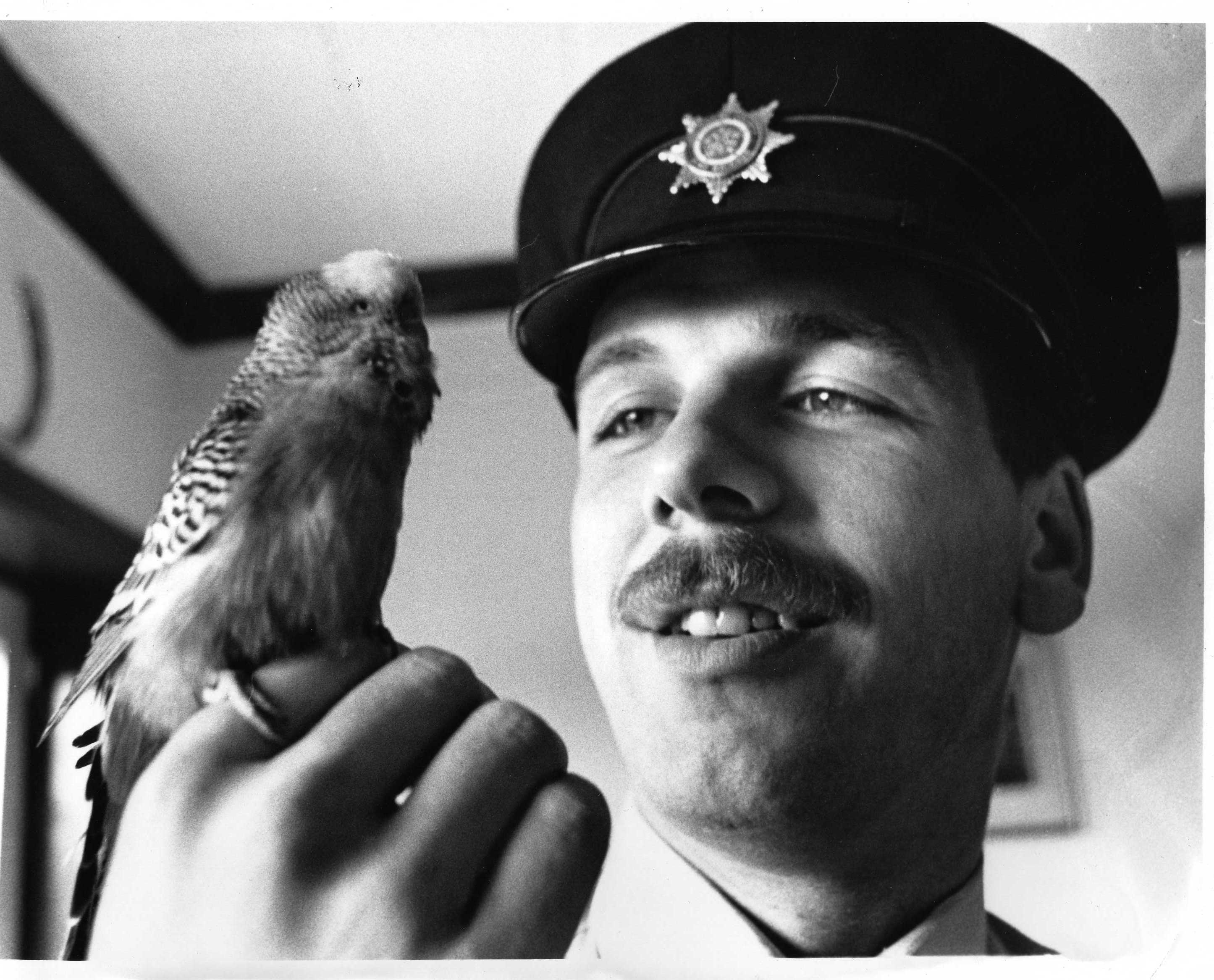 Budgie Rescue | | Blackburn Fire History